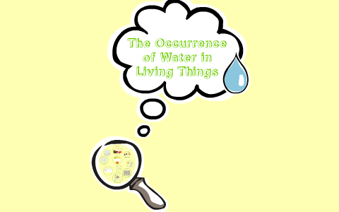 The Occurrence of Water in Living Things by Thi Nguyen on Prezi