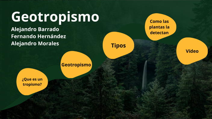 Geotropismos by Fernando Hernández on Prezi