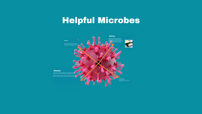Helpful Microbes by Louis Henderson on Prezi