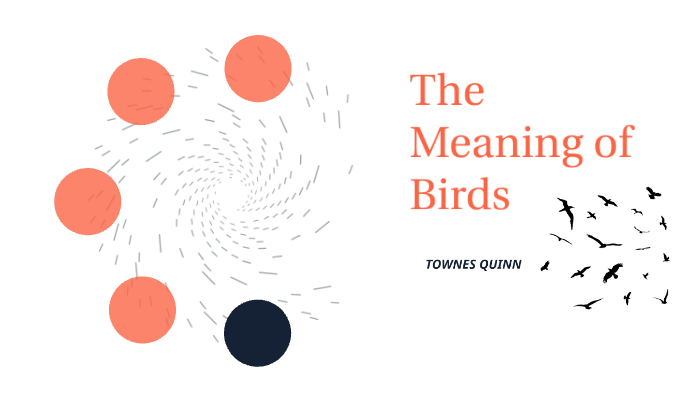 Archetype- Birds by Townes Quinn on Prezi