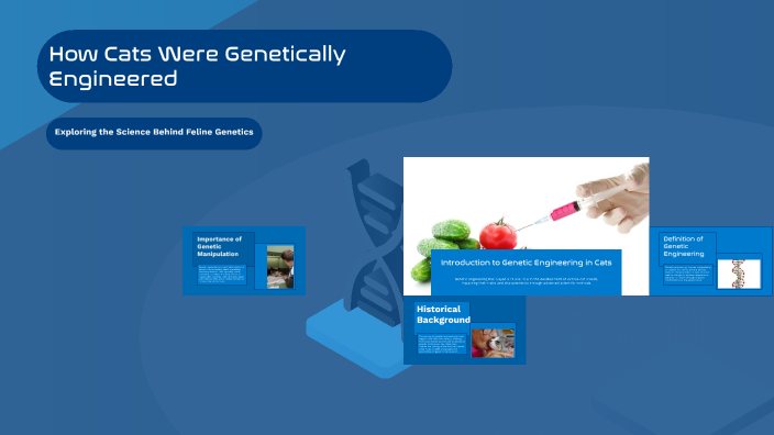 How Cats Were Genetically Engineered by Madden Smart on Prezi