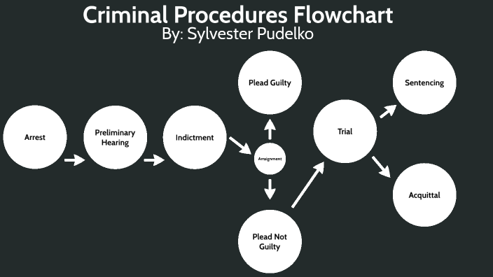 Criminal Procedures flowchart by Sylvester Pudelko on Prezi