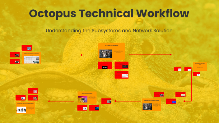 Octopus Technical Workflow by naor ohayon on Prezi