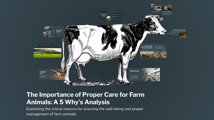 The Importance of Proper Care for Farm Animals: A 5 Why's Analysis by ...