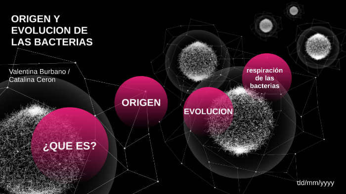origen y evolucion de las bacterias by maria ceron on Prezi