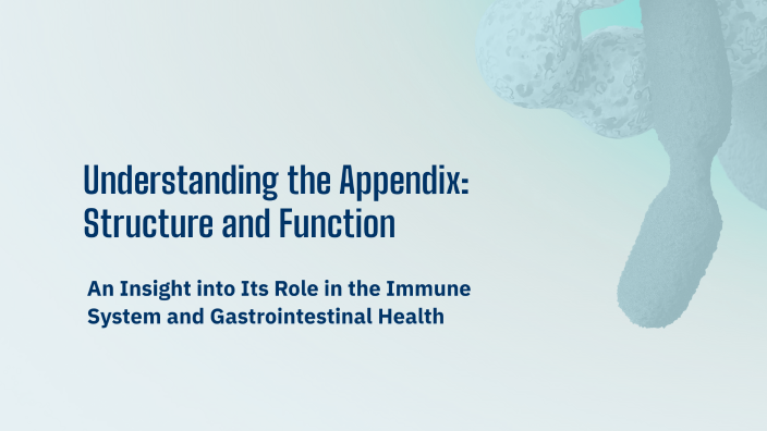 Understanding the Appendix: Structure and Function by ZEYNEP ŞEVVAL ...