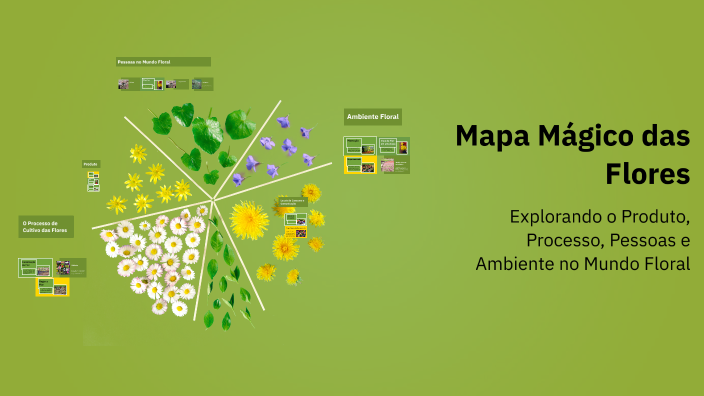 Mapa Mágico das Flores by Bárbara Roios on Prezi