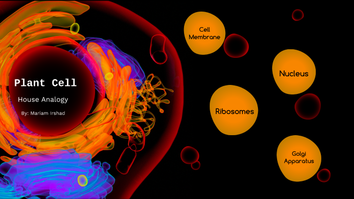 Cell Analogy-House to a Plant Cell by MI - 08RA 785611 Fallingbrook MS ...