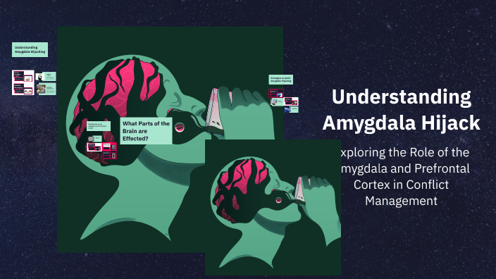 Understanding Amygdala Hijack by Phillip Wessing on Prezi