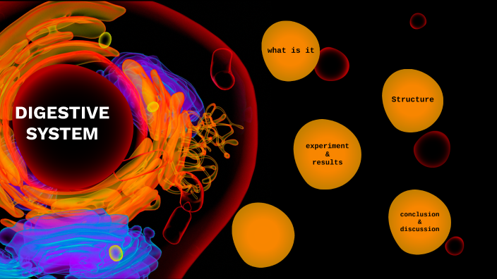 DIGESTIVE SYSTEM by Manuela Riera on Prezi