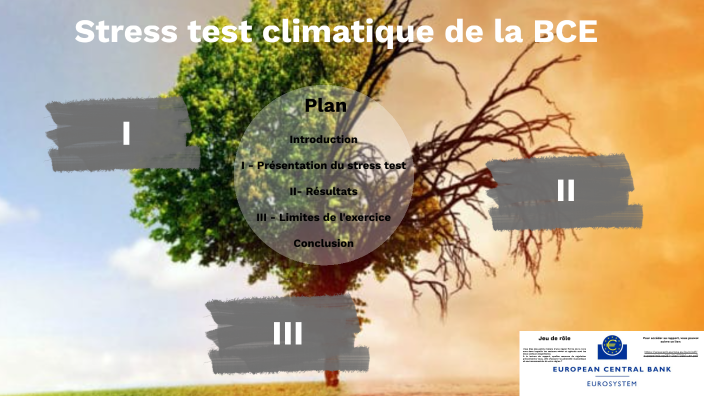 Stress test ECB by Léocadie Darpas on Prezi