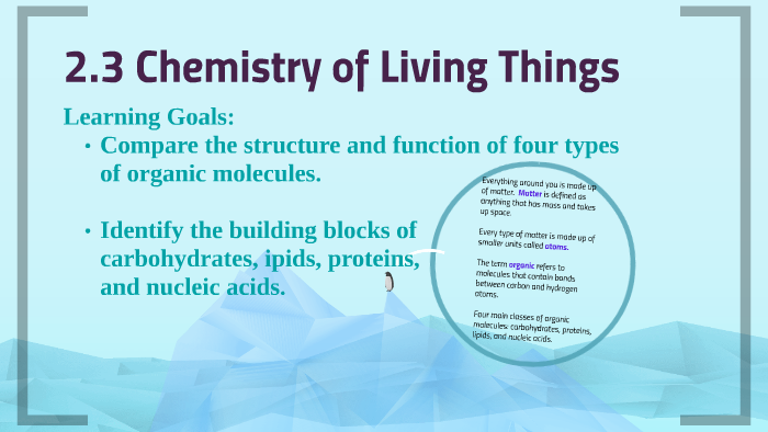 2.3 Chemistry of Living Things by Chelsea McGhee on Prezi