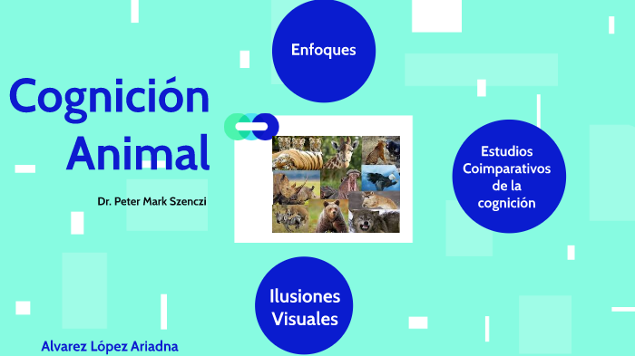 Cognición animal by Ariadna Alvarez on Prezi