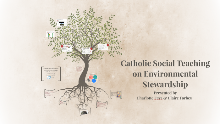 Catholic Social Teaching ENVIRONMENT by claire f on Prezi