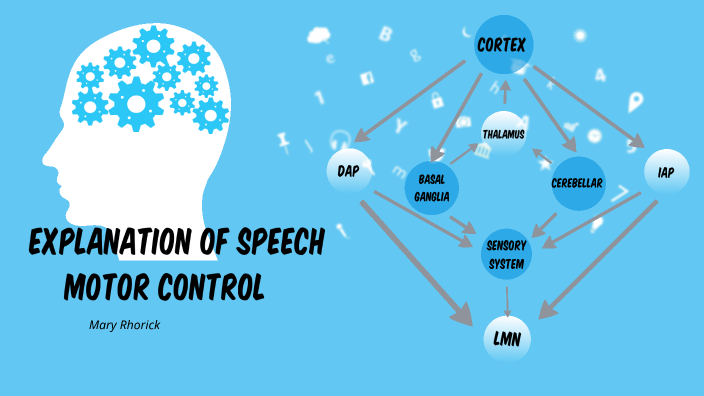 Explanation of Speech Motor Control by Mary Rhorick on Prezi