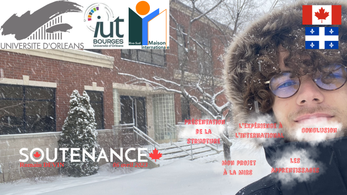 Soutenance MIRS by Romain DEVIN on Prezi