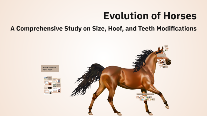 Evolution of Horses by Christopher Cutshall on Prezi