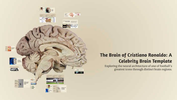 The Brain of Cristiano Ronaldo: A Celebrity Brain Template by Gustavo ...