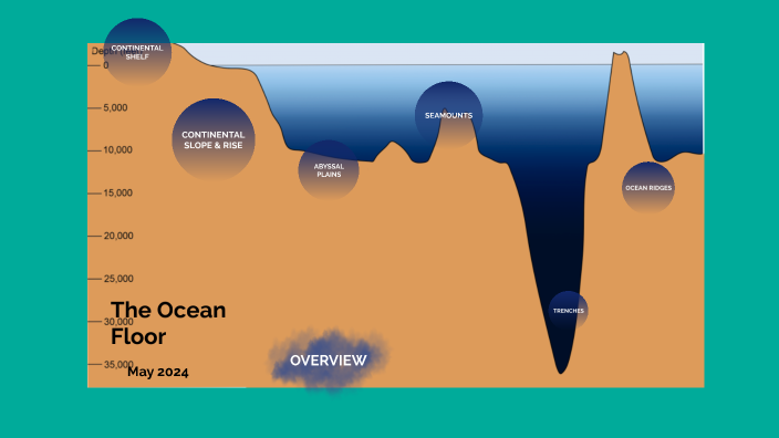 Ocean Stuff by Serena Lu on Prezi