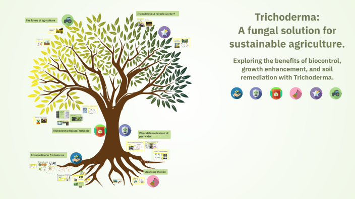 Trichoderma: The Super-Fungi Transforming Agriculture by J. Borgman on ...