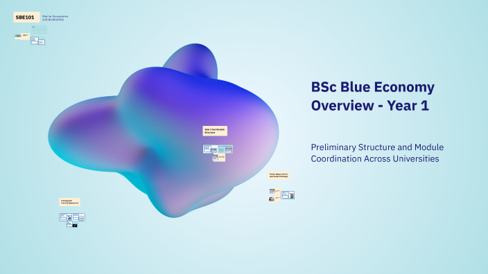 BSc Blue Economy Program Overview - Year 1 by Irene Delgado Fernandez ...