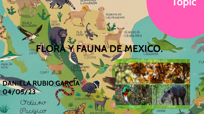 FLORA Y FAUNA DE MEXICO by Daniela Rubio on Prezi