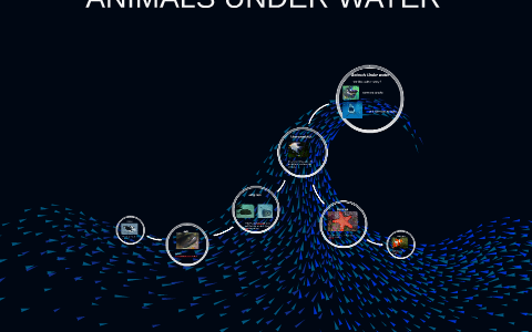 How does water flo ? by on Prezi