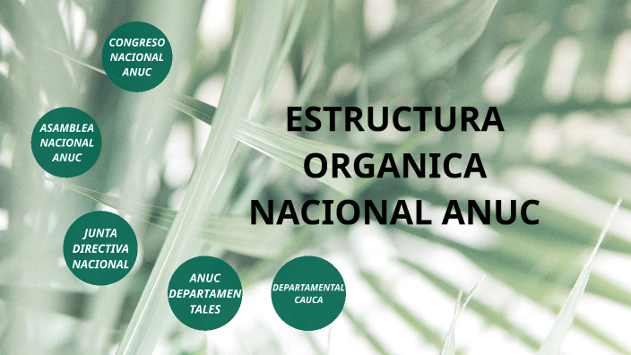 estructura organica ANUC by NILSON LIZ CAMILO on Prezi