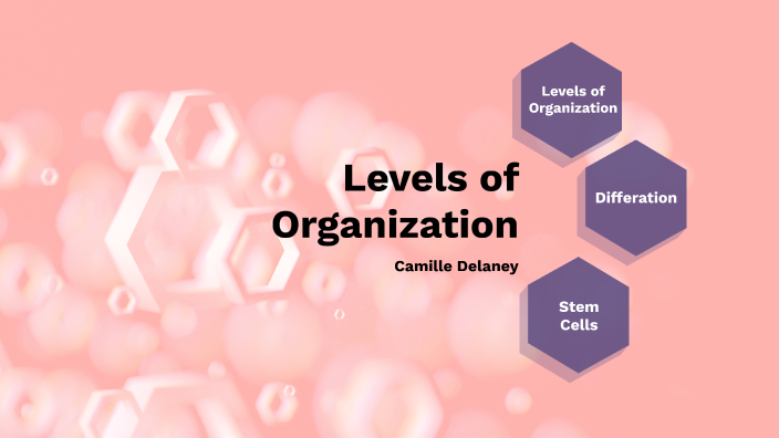 Levels of Organization by Camille Delaney [STUDENT] on Prezi
