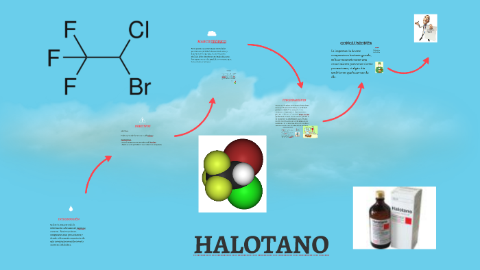 HALOTANO by on Prezi