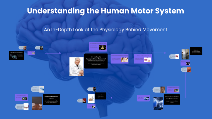 Understanding the Human Motor System by Mohammed Yahia on Prezi