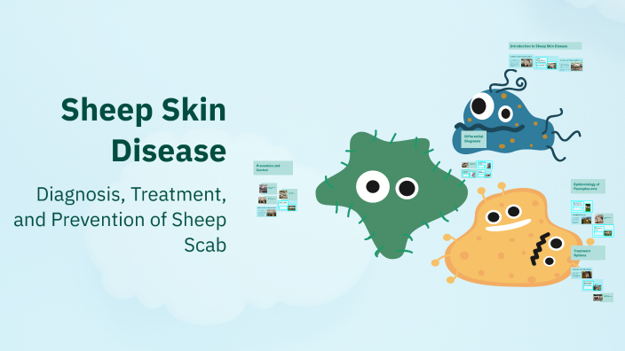 Sheep Skin Disease by Rails Cumberland on Prezi