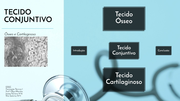 Tecido Conjuntivo - Ósseo e Cartilagíneo by Filipa Andrade on Prezi