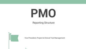 PMO Reporting Structure by Everley Grace on Prezi Design