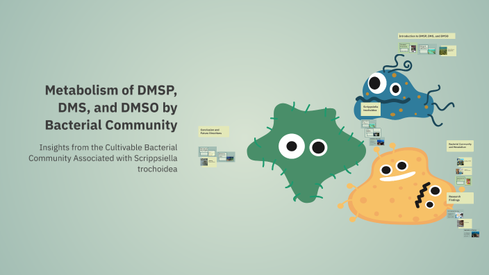 Metabolism of DMSP, DMS, and DMSO by Bacterial Community by Amina ...