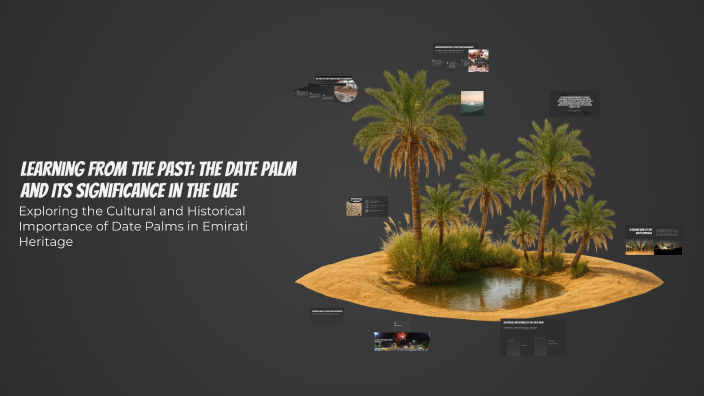 Learning from the Past: The Date Palm and Its Significance in the UAE ...