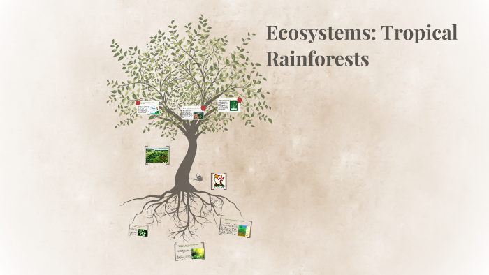 Ecosystems: Tropical Rainforests by Julie Plotkin on Prezi