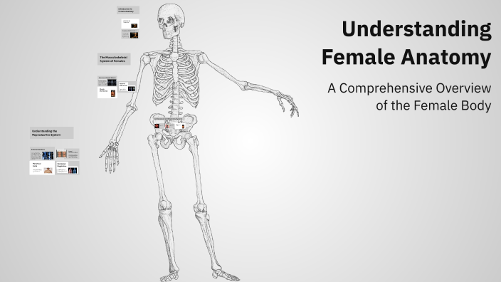 Understanding Female Anatomy by Nkem A on Prezi