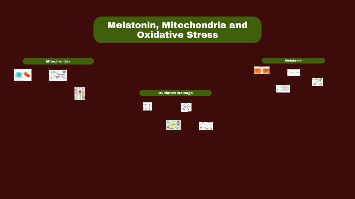 Melatonin, Mitochondria and Oxidative Damage by Ely Wananda on Prezi