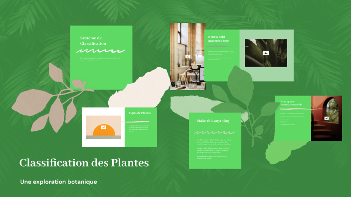 Classification des Plantes by bel ima on Prezi