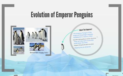 Evolution of the Emperor Penguin by John Doe on Prezi