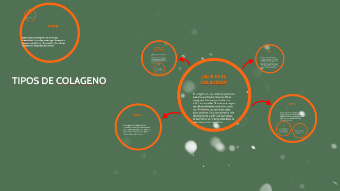 TIPOS DE COLAGENO by hector medina on Prezi