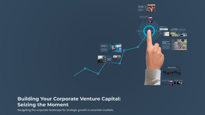 Building Your Corporate Venture Capital: Seizing the Moment by dr ...