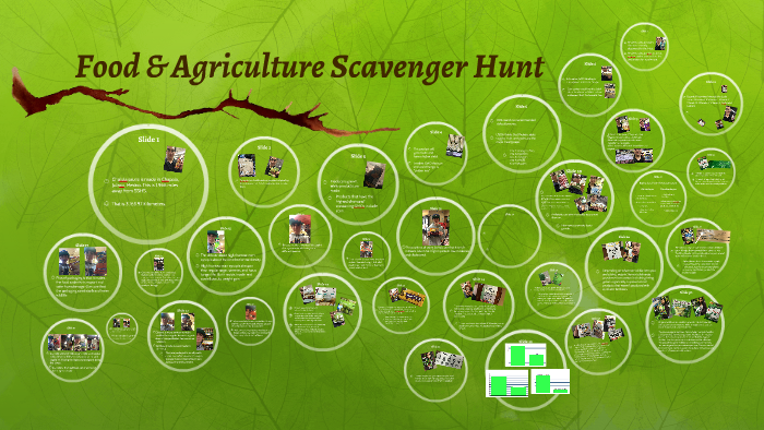 Food & Agriculture Scavenger Hunt by Taylie Jones on Prezi
