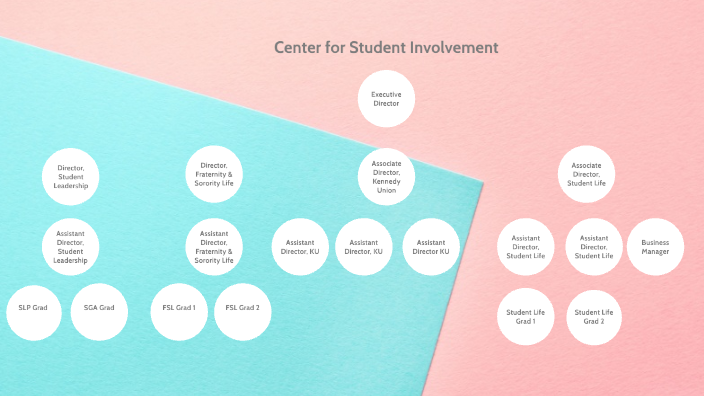 CSI Org Chart by Chelsea Fricker on Prezi