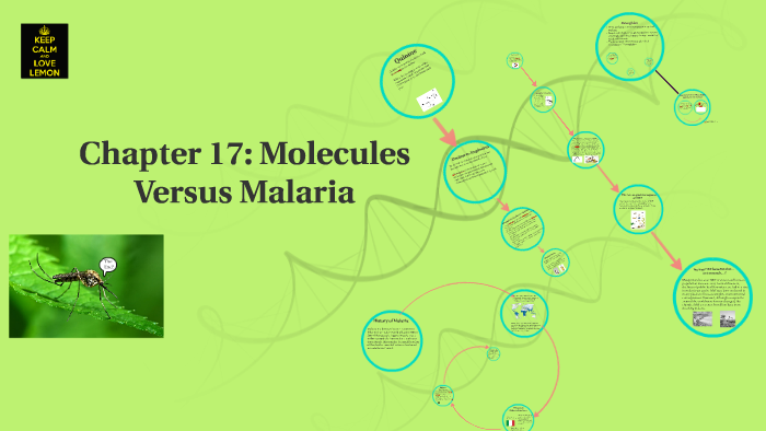 Chapter 17: Molecules Versus Malaria by Olivia Horte on Prezi
