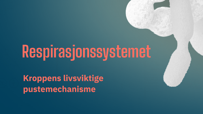 Respirasjonssystemet by Eirik Rafoss on Prezi