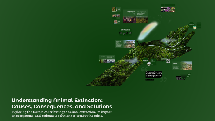 Understanding Animal Extinction: Causes, Consequences, and Solutions by ...