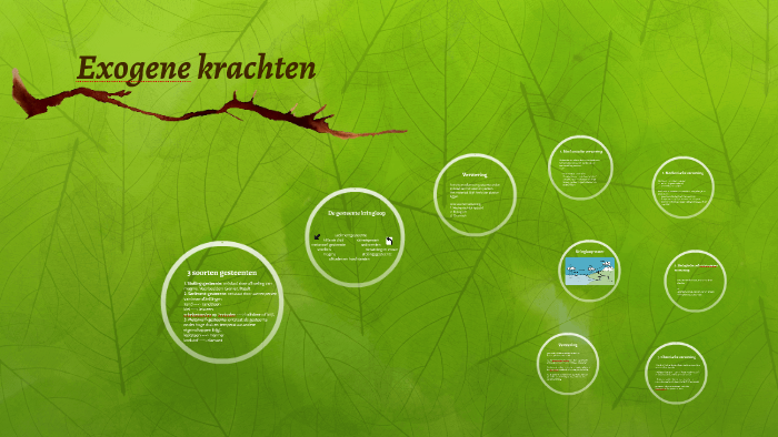 Exogene krachten by Anja Gutter on Prezi