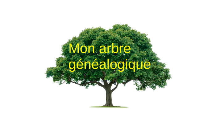Mon arbre généalogique by Sander Marinus on Prezi